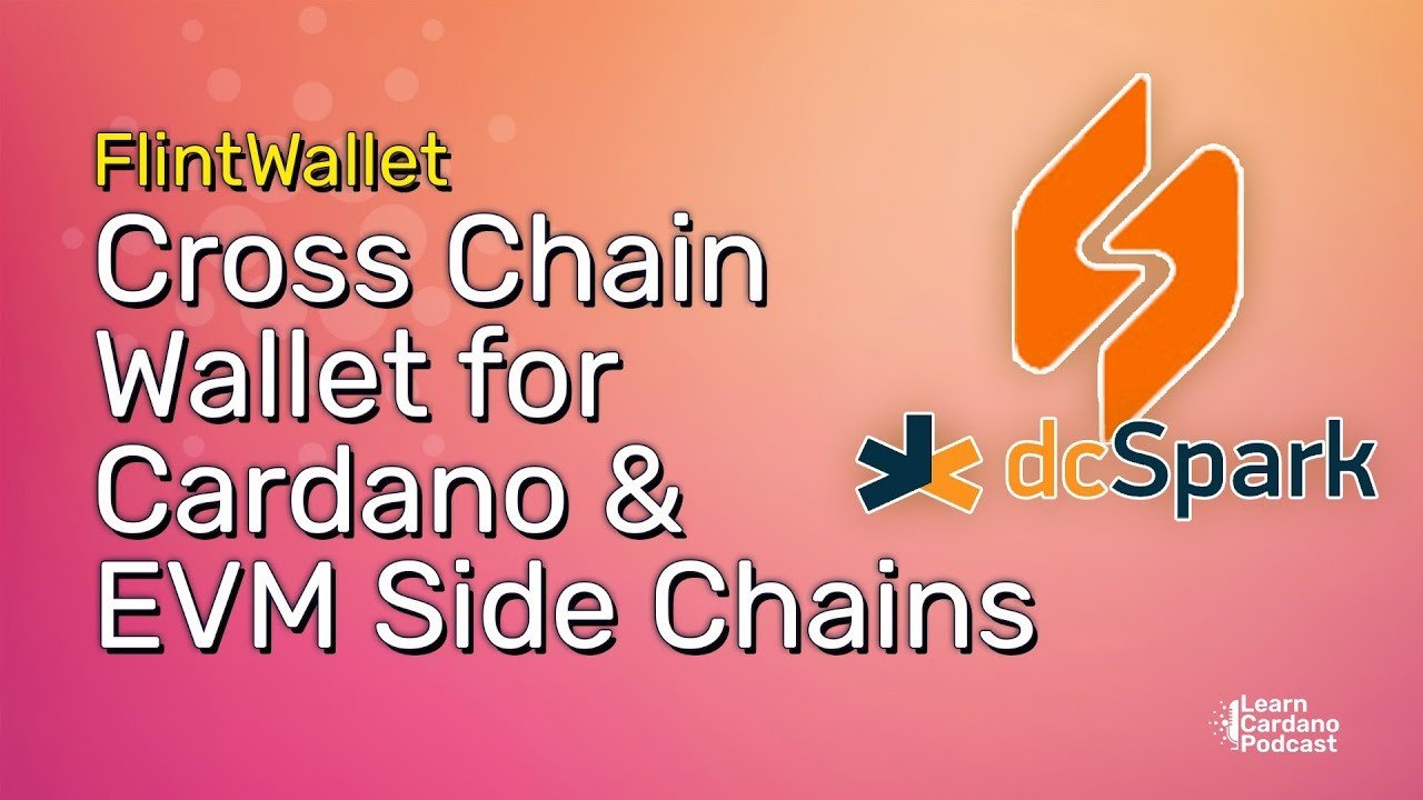 A Closer Look Into Cardano Community Wallets | AdaPulse