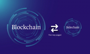 A deep dive into Sidechains; Unlocking Cardano’s potential | AdaPulse