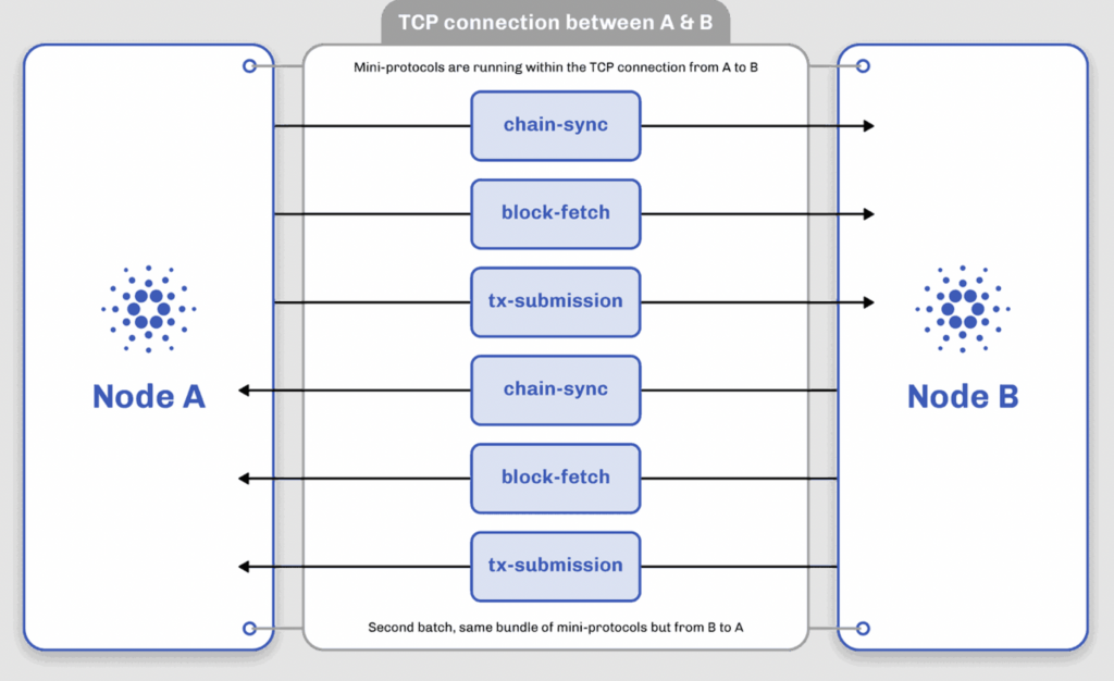 Decentralizing Cardano’s Networking Layer: An In-Depth Look | AdaPulse