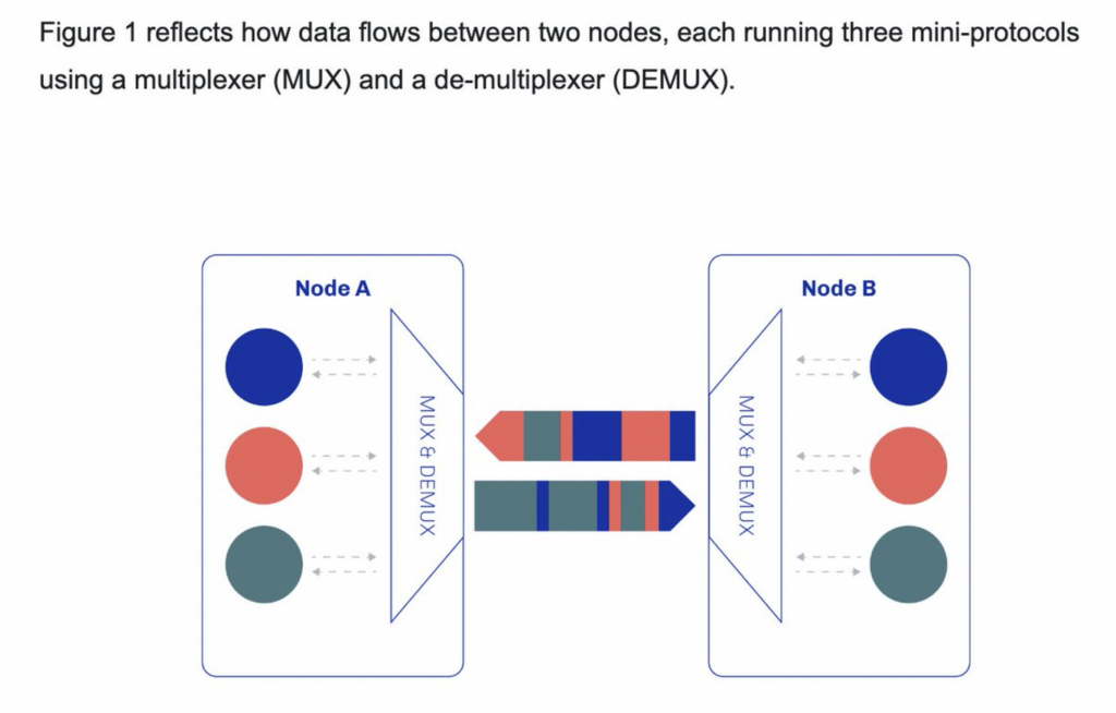 Decentralizing Cardano’s Networking Layer: An In-Depth Look | AdaPulse
