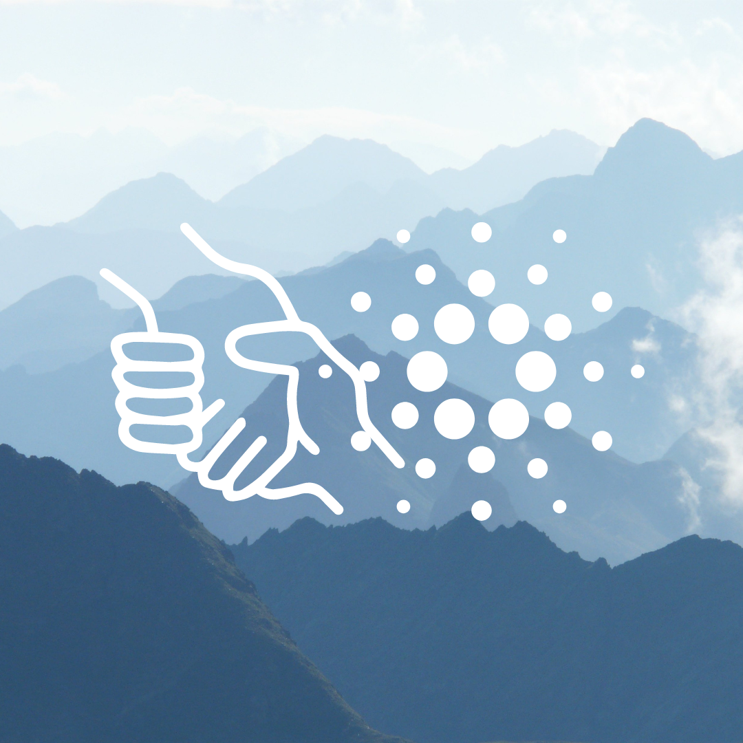 Cardano Problem Statements A Closer Look Adapulse