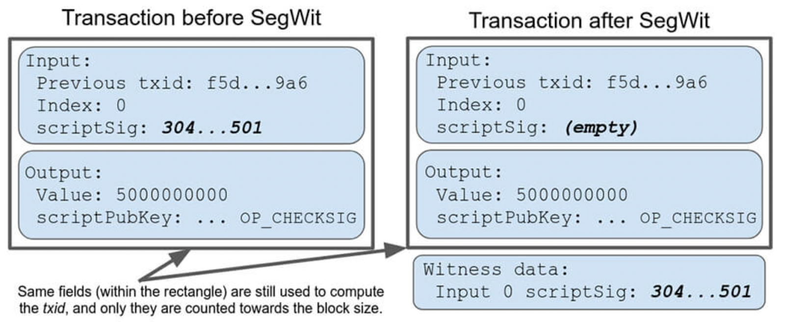 Bitcoin's New Frontier: Everything You Need to Know About Ordinal NFTs ...