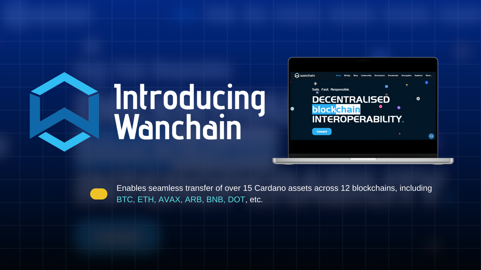 Interoperability in Blockchain | AdaPulse