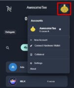 How to use Nami Wallet | AdaPulse