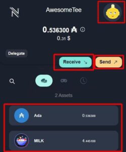 Getting Started With Nami Wallet- A Step By Step Guide | AdaPulse