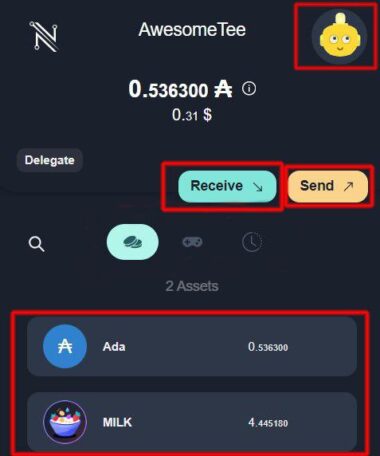How to use Nami Wallet | AdaPulse