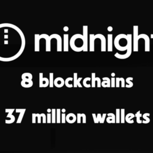 Blockchain Transaction Speed Comparison: Cardano vs Other Top Networks ...